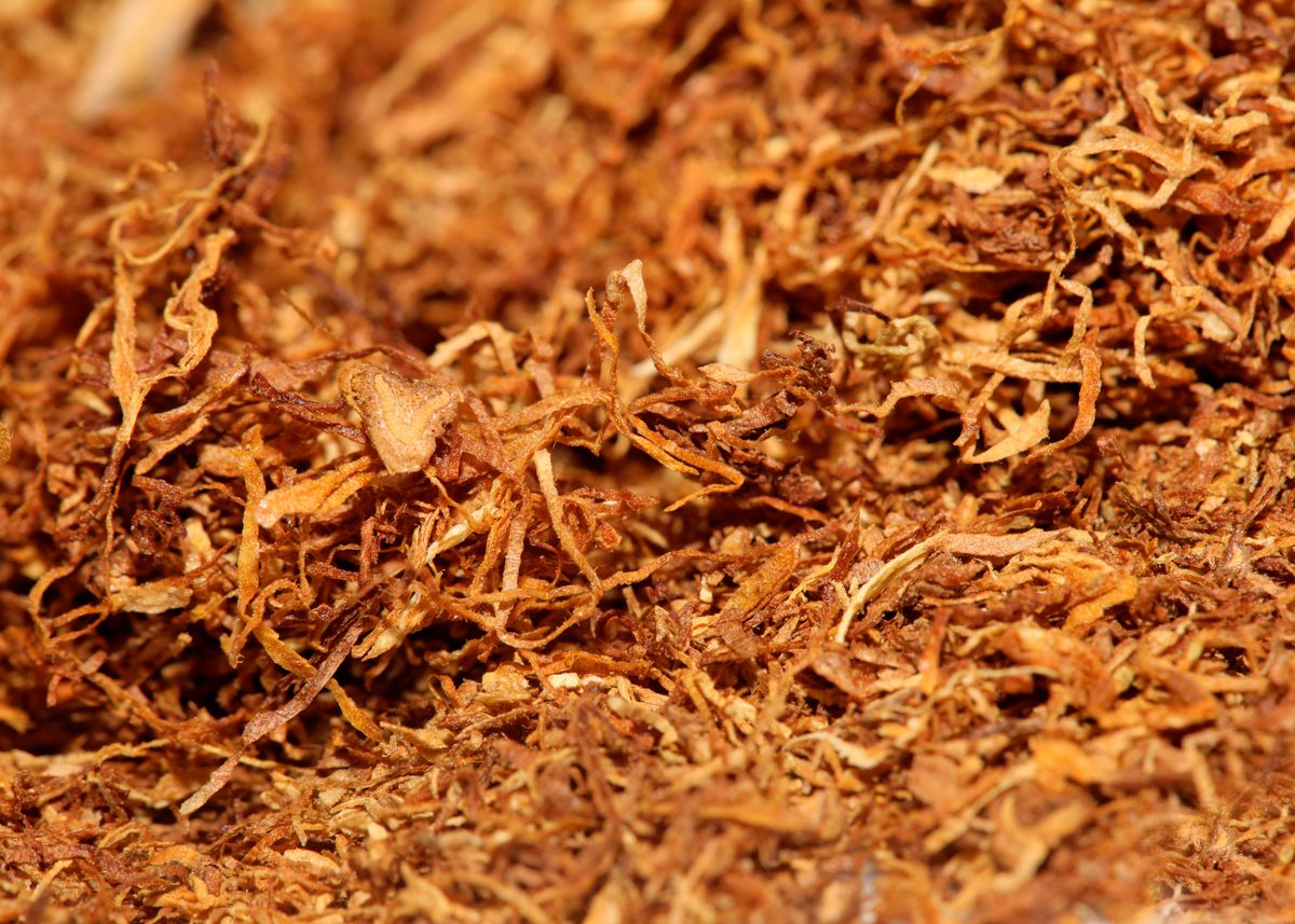 'Rolling tobacco close up' Poster by BakalaeroZz Photography | Displate