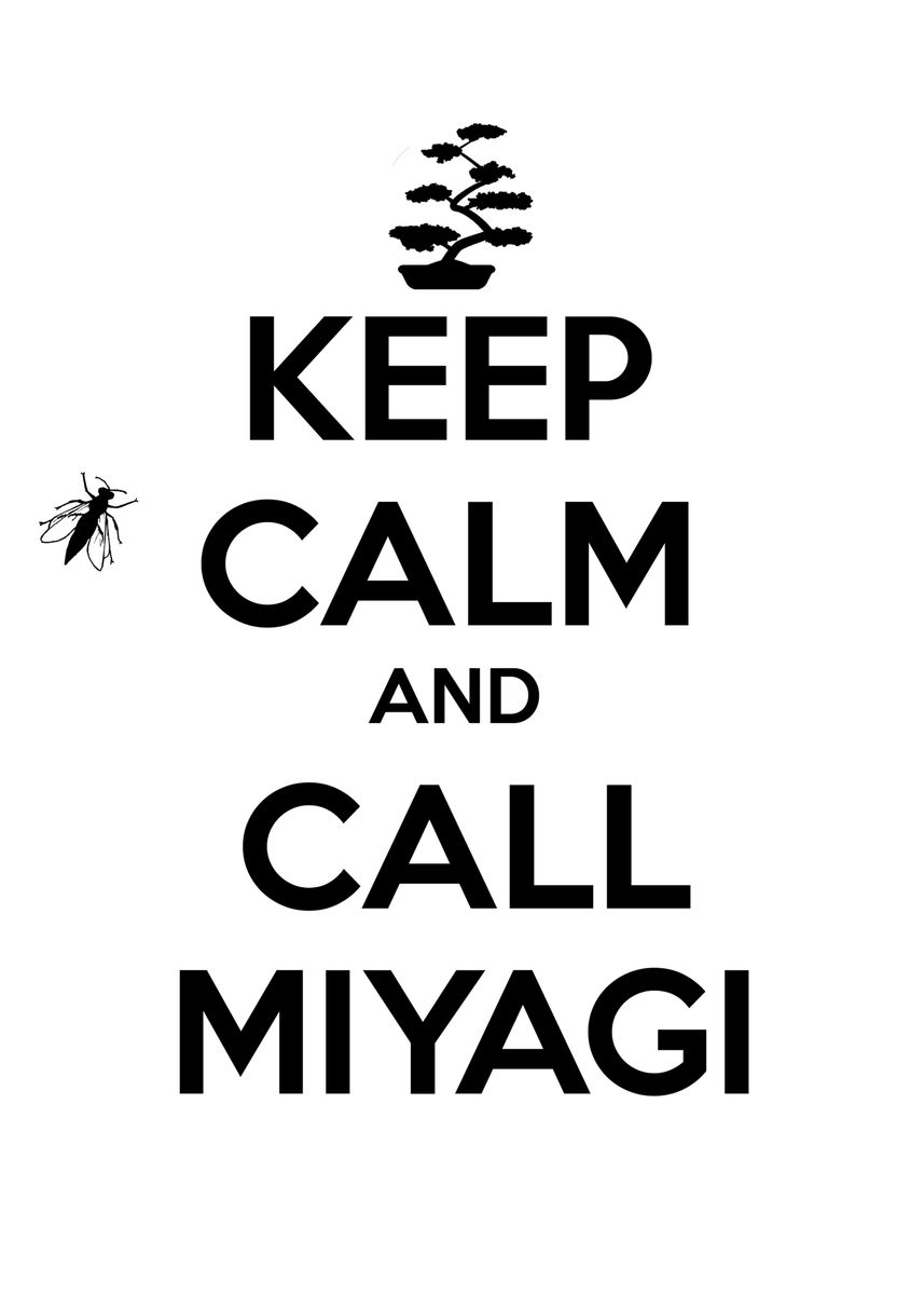 'Miyagi karate kid ' Poster, picture, metal print, paint by MrFrannigan ...