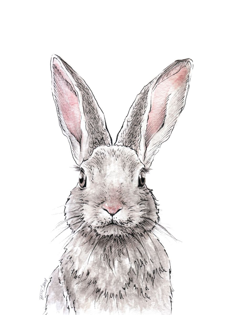 'Rabbit Bunny Cute portrait' Poster, picture, metal print, paint by ...