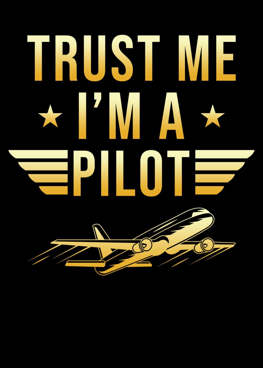 'Pilot Gift' Poster, picture, metal print, paint by schmugo | Displate
