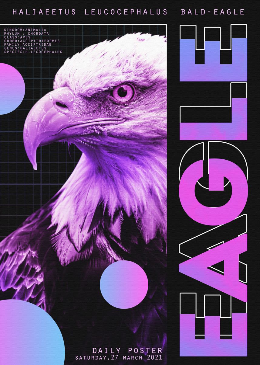 'Eagle' Poster by artisticdesign 1903 | Displate