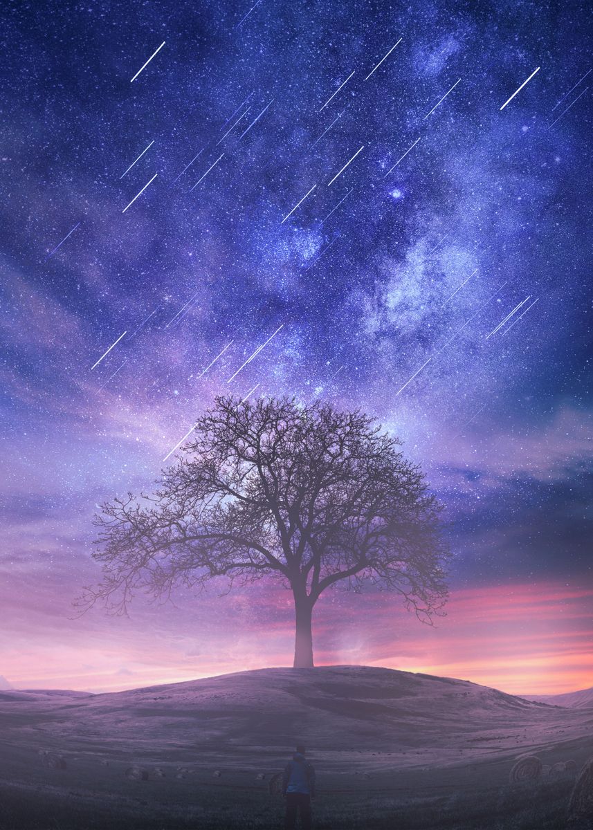 'star tree' Poster, picture, metal print, paint by Trigonal Art | Displate