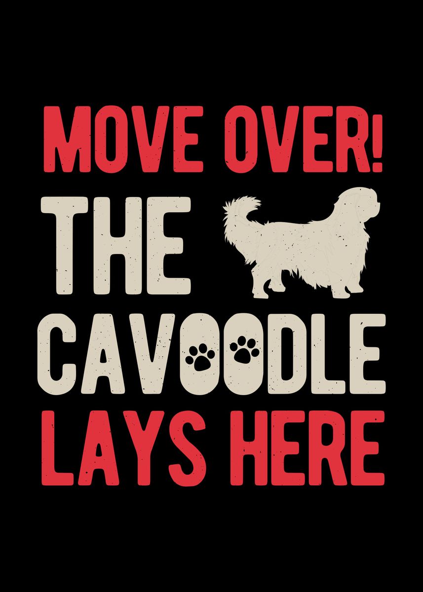 'Funny Cavoodle' Poster, picture, metal print, paint by Visualz | Displate