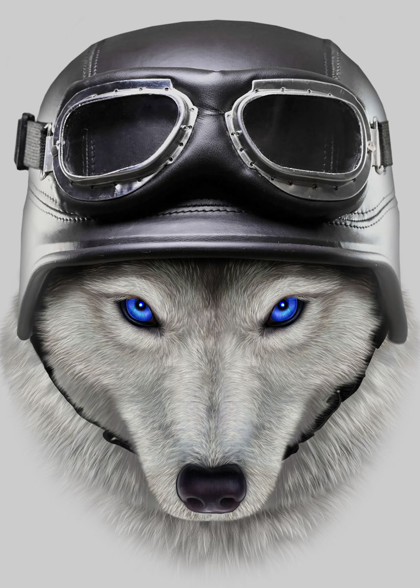 'Biker Polar Wolf' Poster, picture, metal print, paint by Jeff | Displate