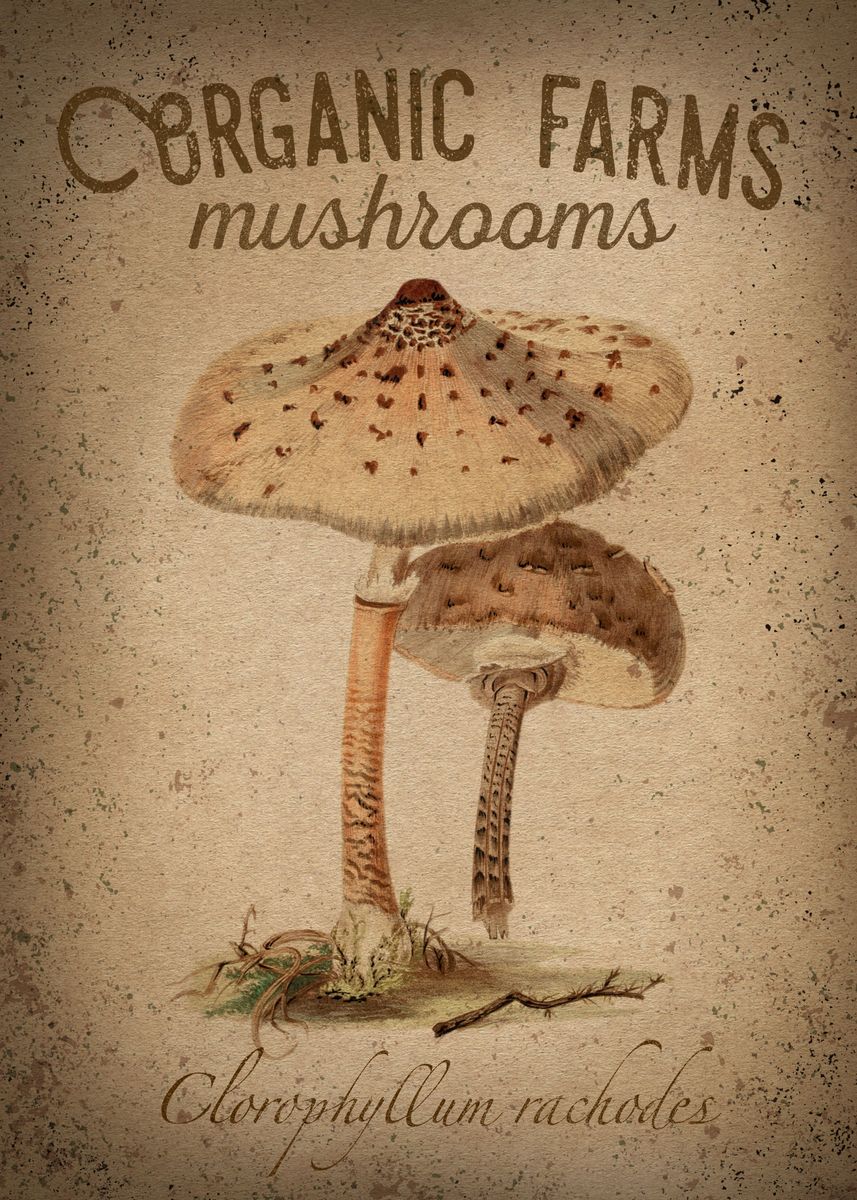 'Mushroom Sign' Poster by Brenda Wren | Displate