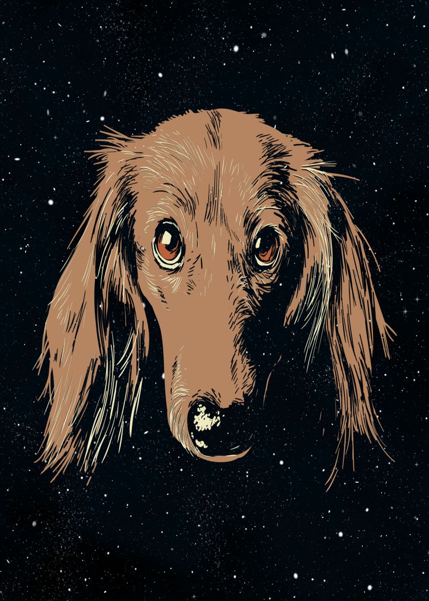 'Dachshund dog face ' Poster, picture, metal print, paint by Brummkatze ...