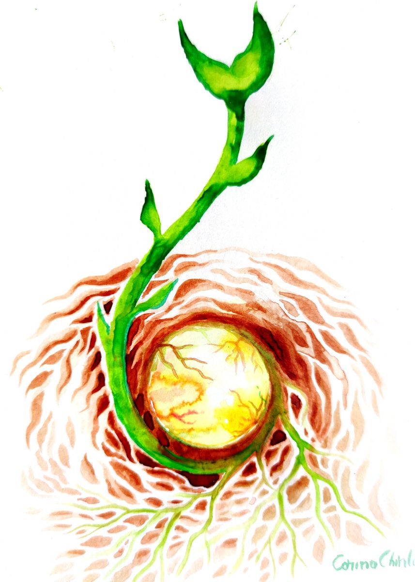 'The seed of life' Poster, picture, metal print, paint by corinachirila ...