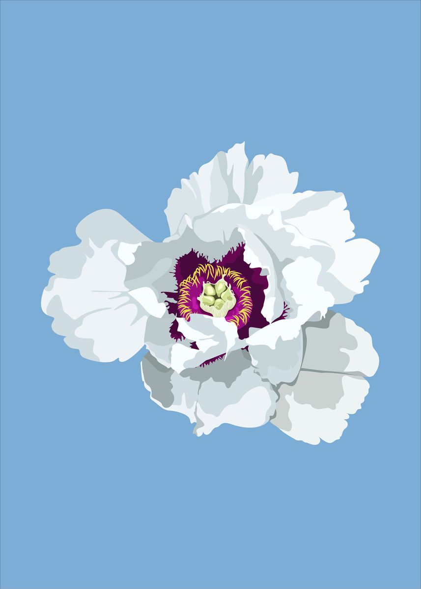 'Rocks Peony' Poster, picture, metal print, paint by Johan Leopold ...