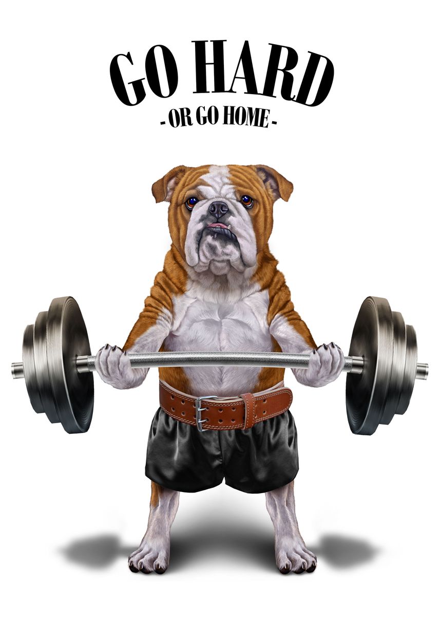 'Bulldog Weightlifting' Poster, picture, metal print, paint by Jeff ...
