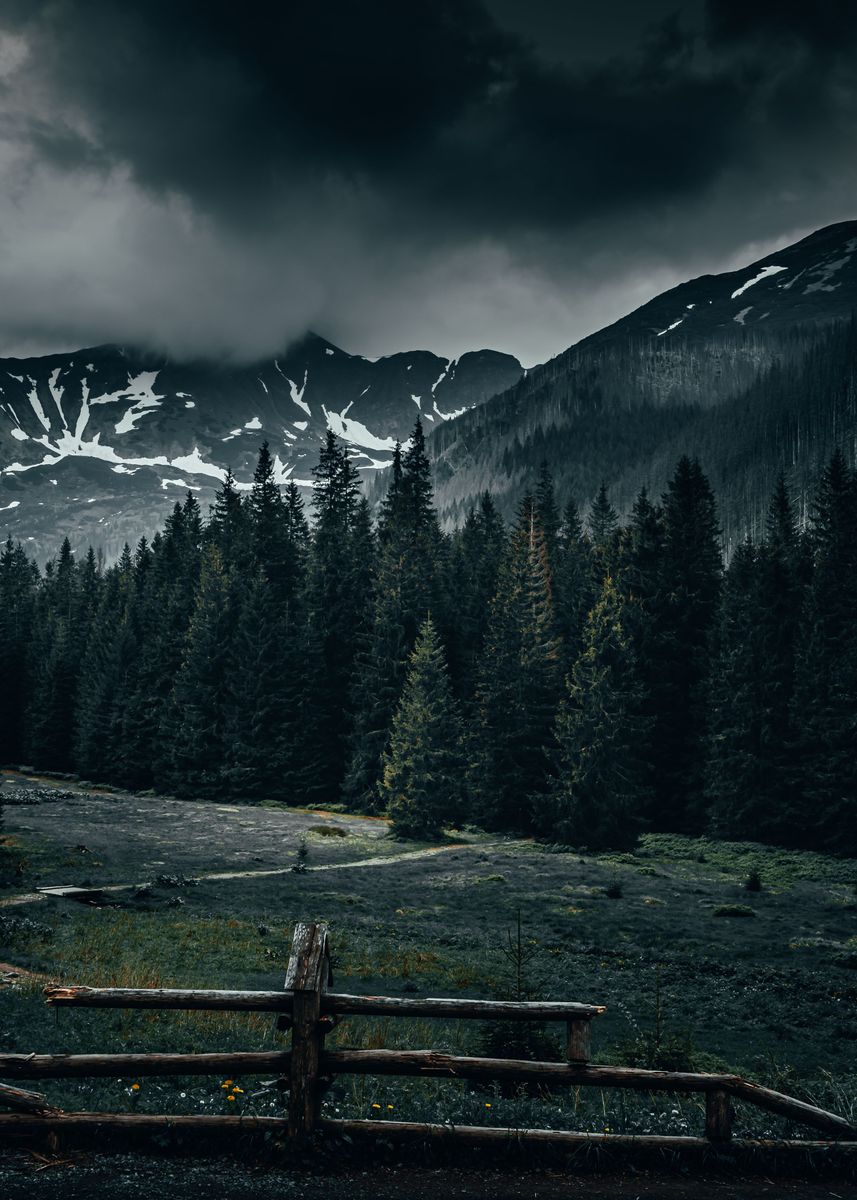 'Fence' Poster, picture, metal print, paint by Adam Stolarczyk | Displate