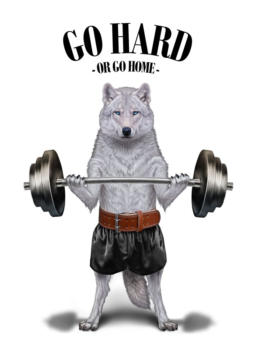 'Polar Wolf Weightlifting' Poster, picture, metal print, paint by Jeff ...