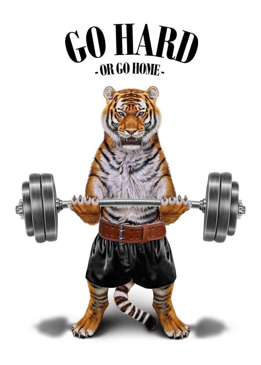 'Tiger Weightlifting' Poster, picture, metal print, paint by Jeff ...