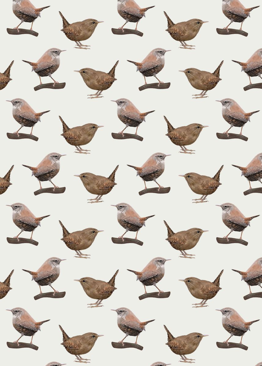 'Wren' Poster, picture, metal print, paint by Mieke Vleeracker | Displate