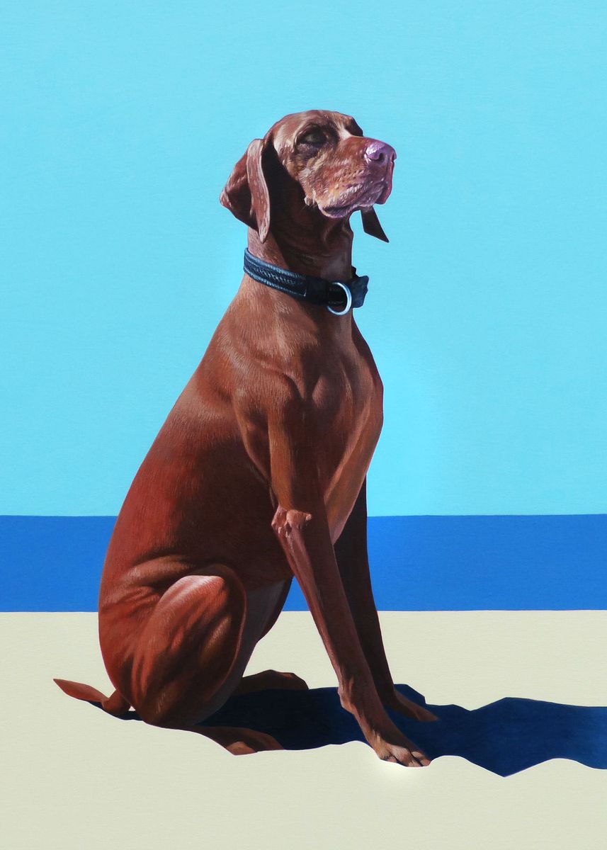 'Penny' Poster, picture, metal print, paint by Marcus Wild | Displate