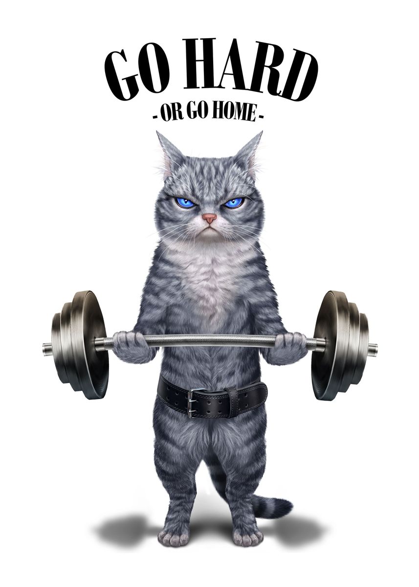 'Grey Cat Weightlifting' Poster, picture, metal print, paint by Jeff ...