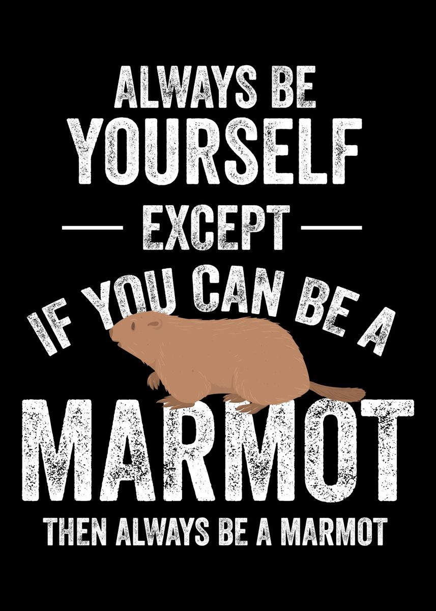 'Be A Marmot Marmot Marmot ' Poster, picture, metal print, paint by ...