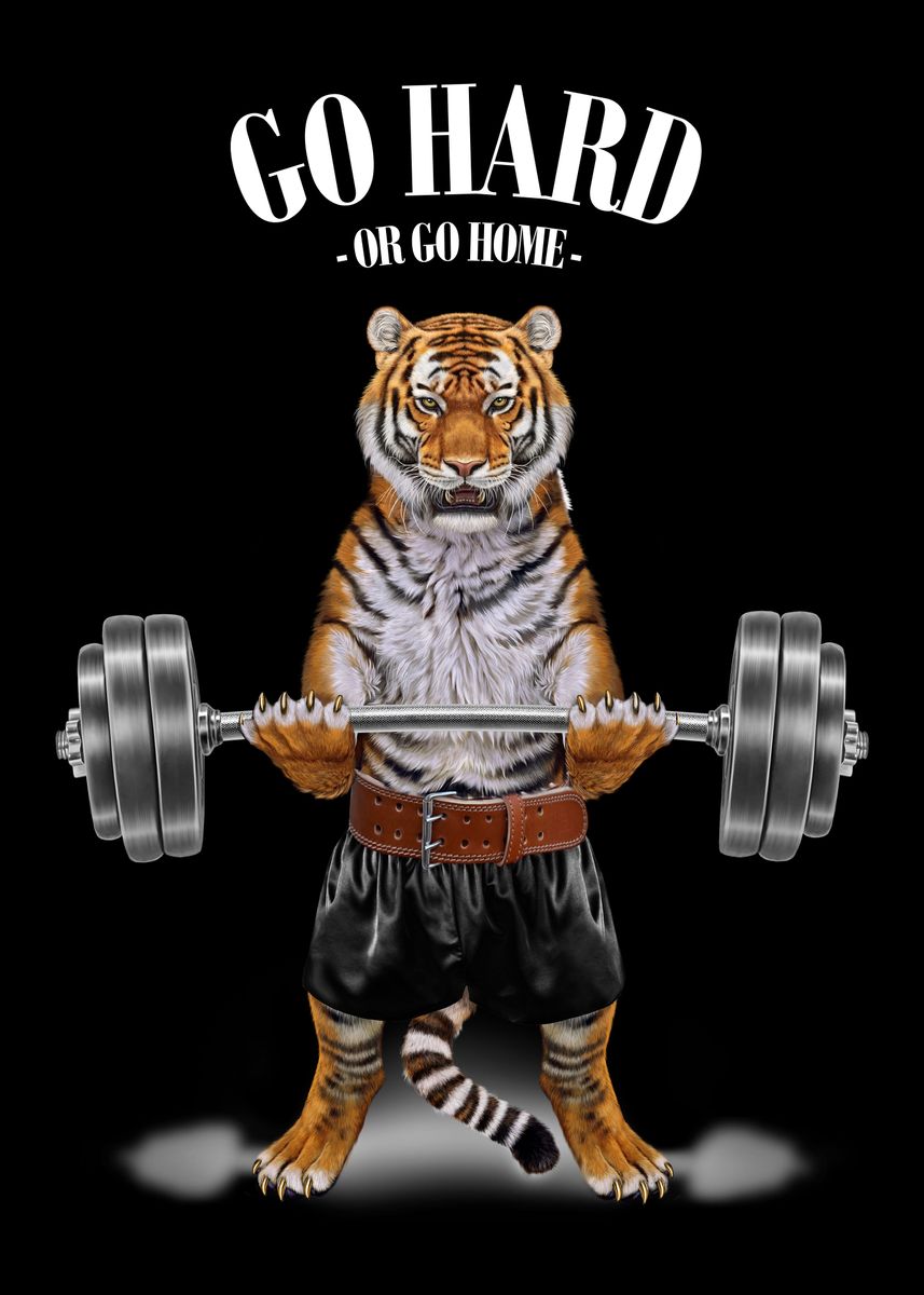 'Tiger Weightlifting' Poster, picture, metal print, paint by Jeff ...