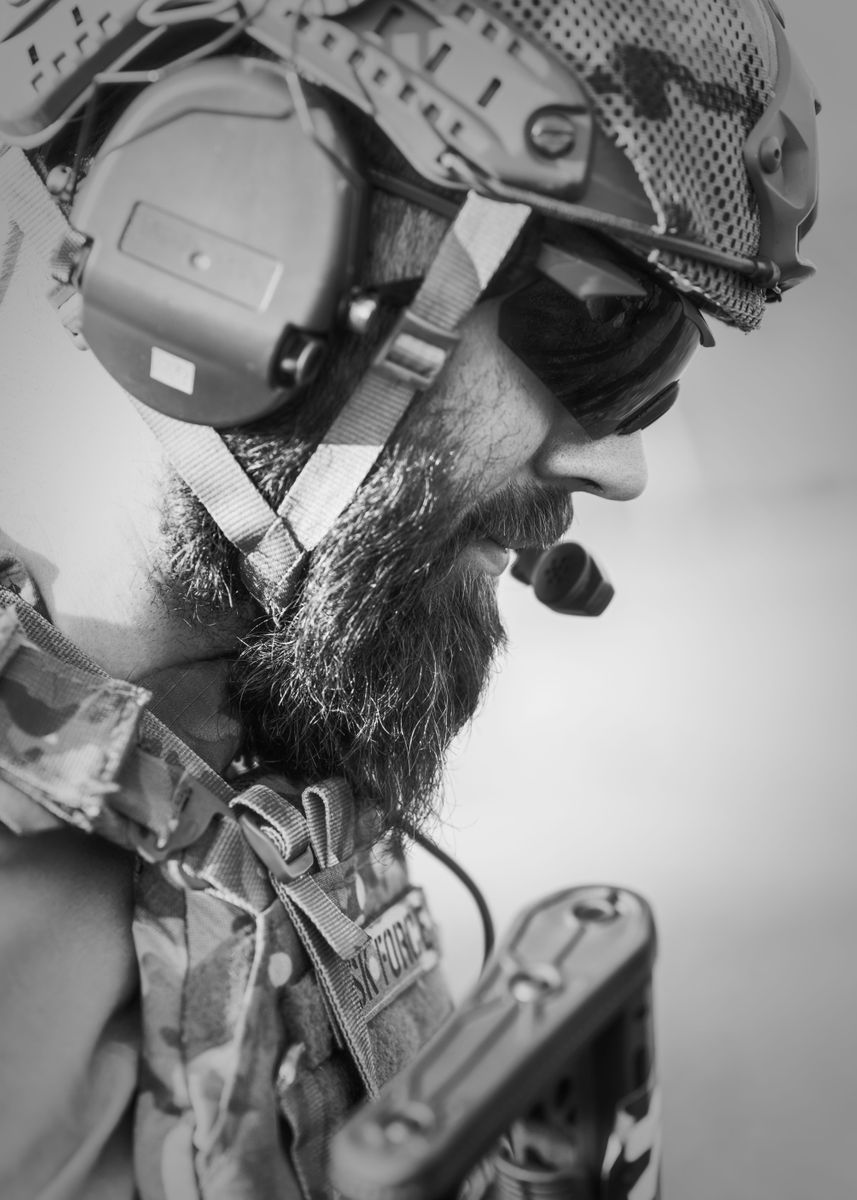 'Face of the army ' Poster, picture, metal print, paint by Stephen ...