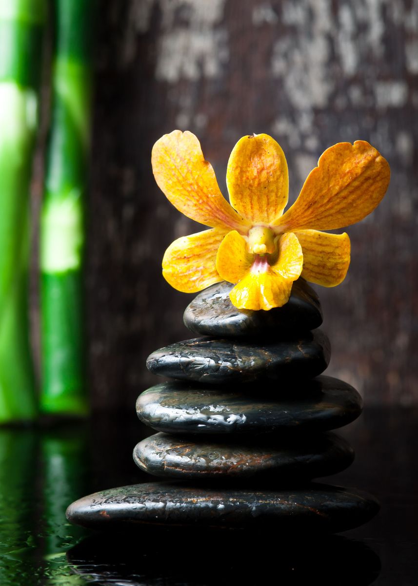 'zen stones ' Poster, picture, metal print, paint by Elysia | Displate
