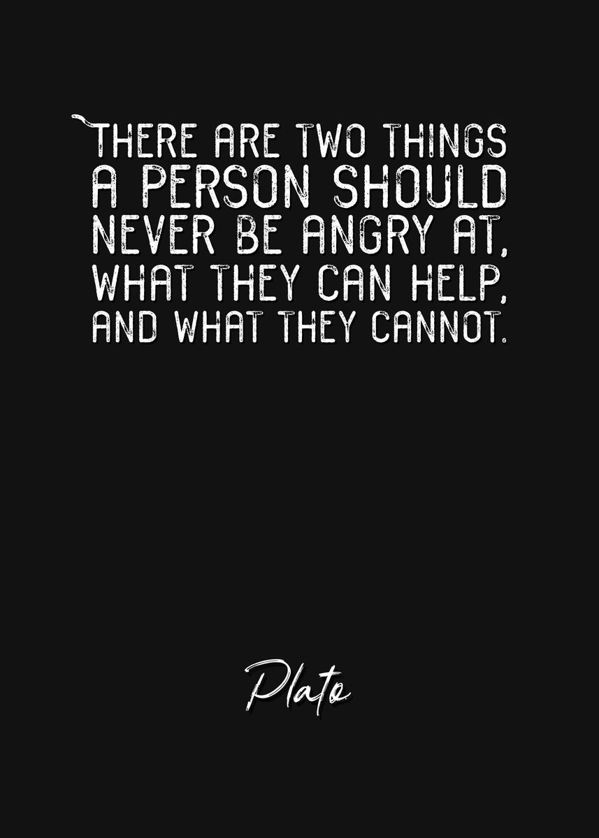 'Plato Quote 8' Poster by Quoteey | Displate