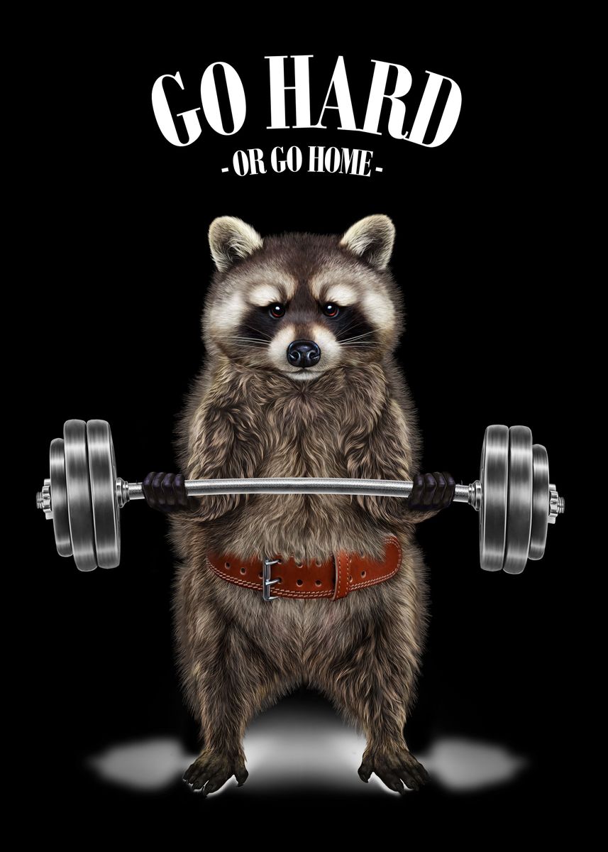'Raccoon Weightlifting' Poster, picture, metal print, paint by Jeff ...