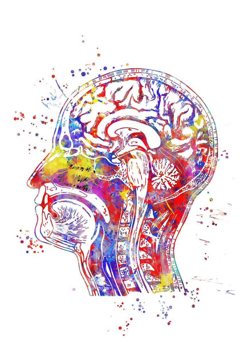'Head anatomy' Poster, picture, metal print, paint by RosaliasArt ...