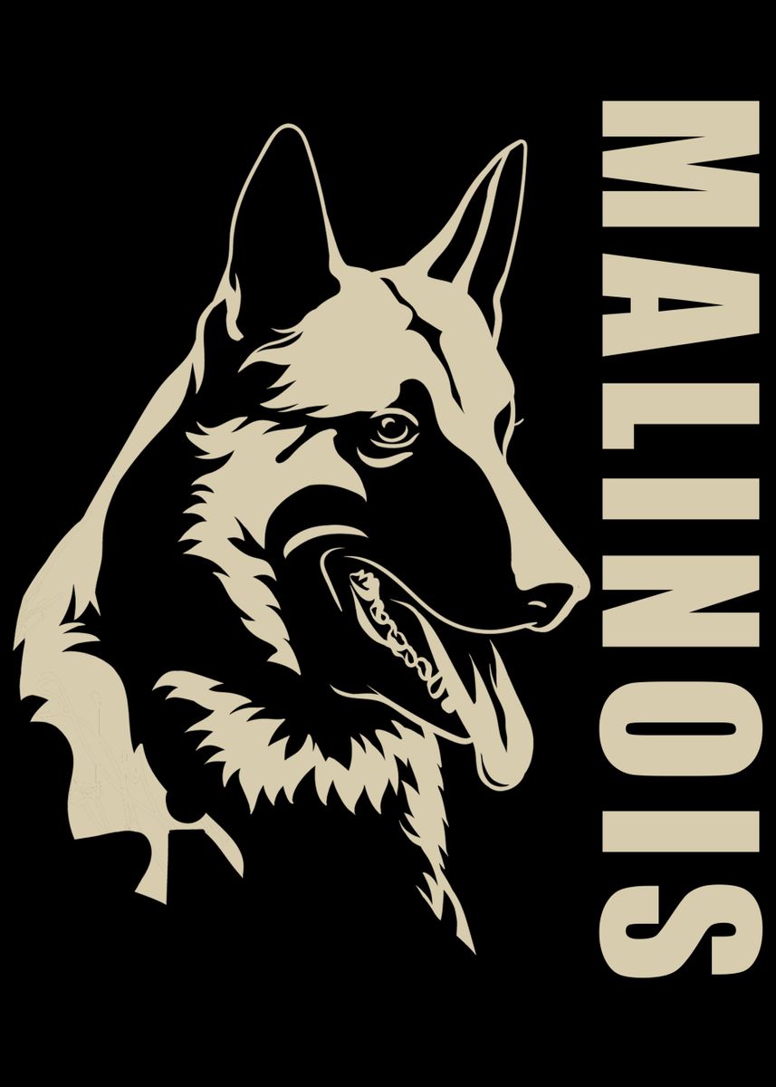 'Malinois' Poster by schmugo | Displate