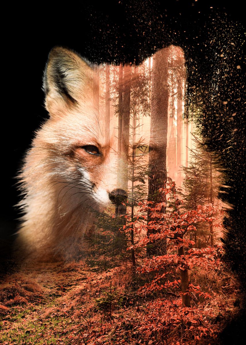 'Autumn Fox' Poster, picture, metal print, paint by Emy Meryart | Displate