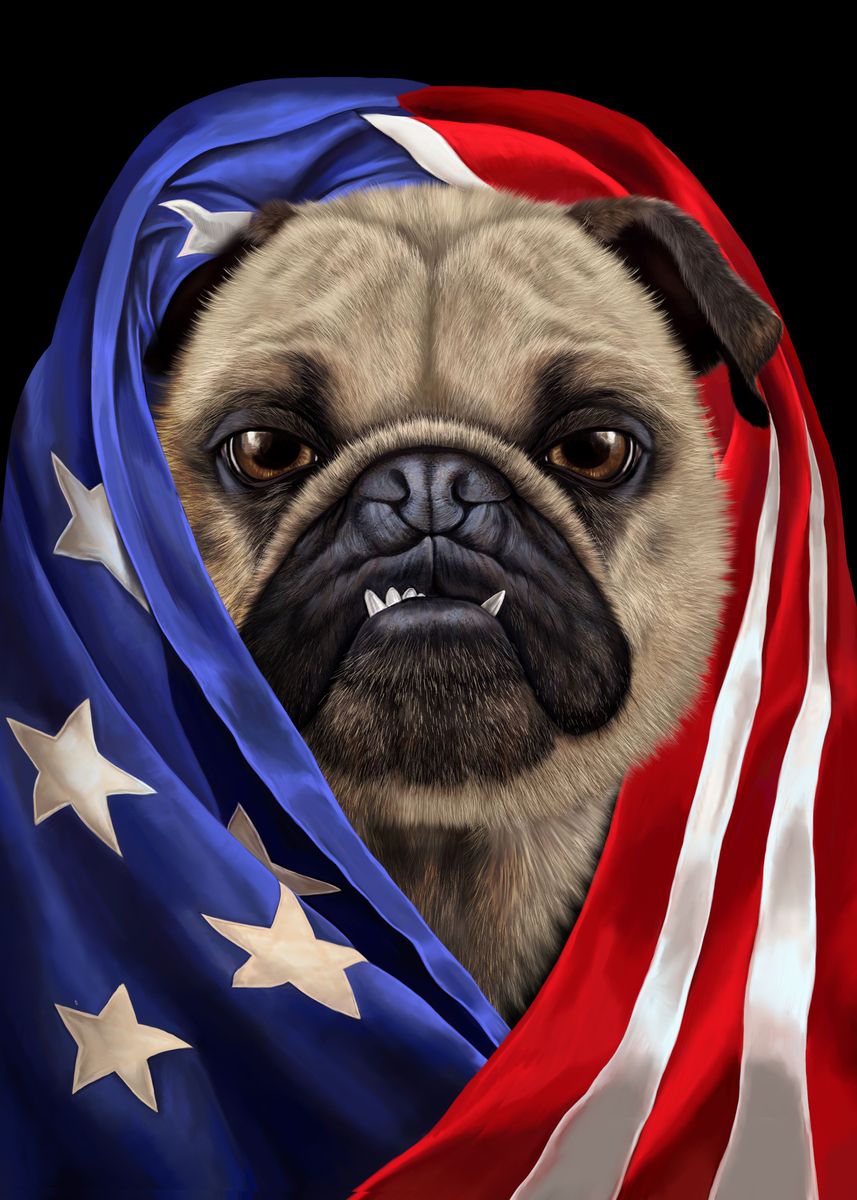 'Pug Dog USA Patriot' Poster, picture, metal print, paint by Jeff ...