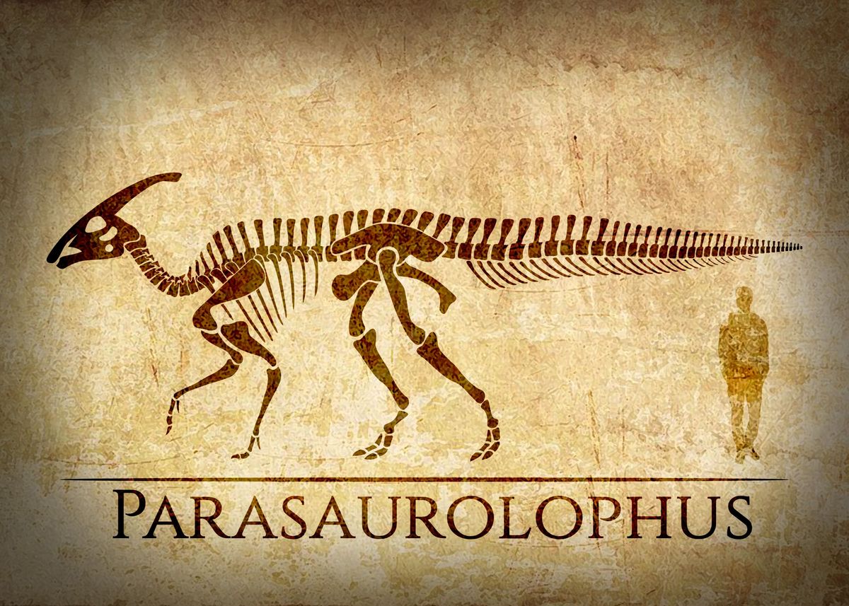 'Parasaurolophus Skeleton' Poster by Meca Artwork | Displate
