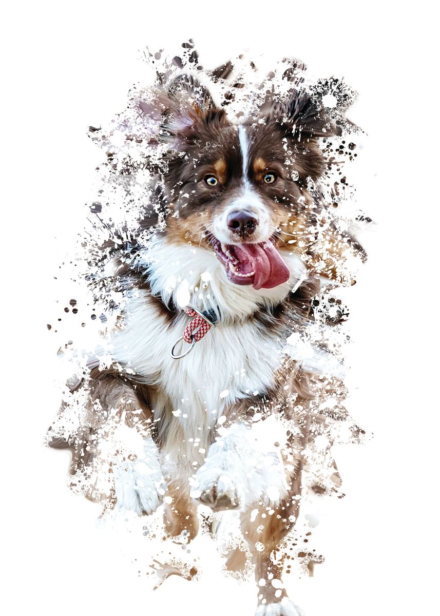 'Dog' Poster, picture, metal print, paint by wesley van zwol | Displate