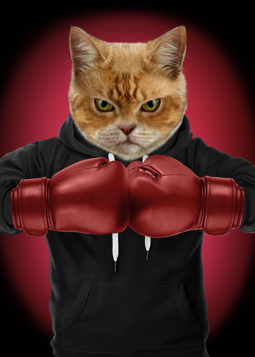 'Boxer Cat' Poster, picture, metal print, paint by Jeff | Displate