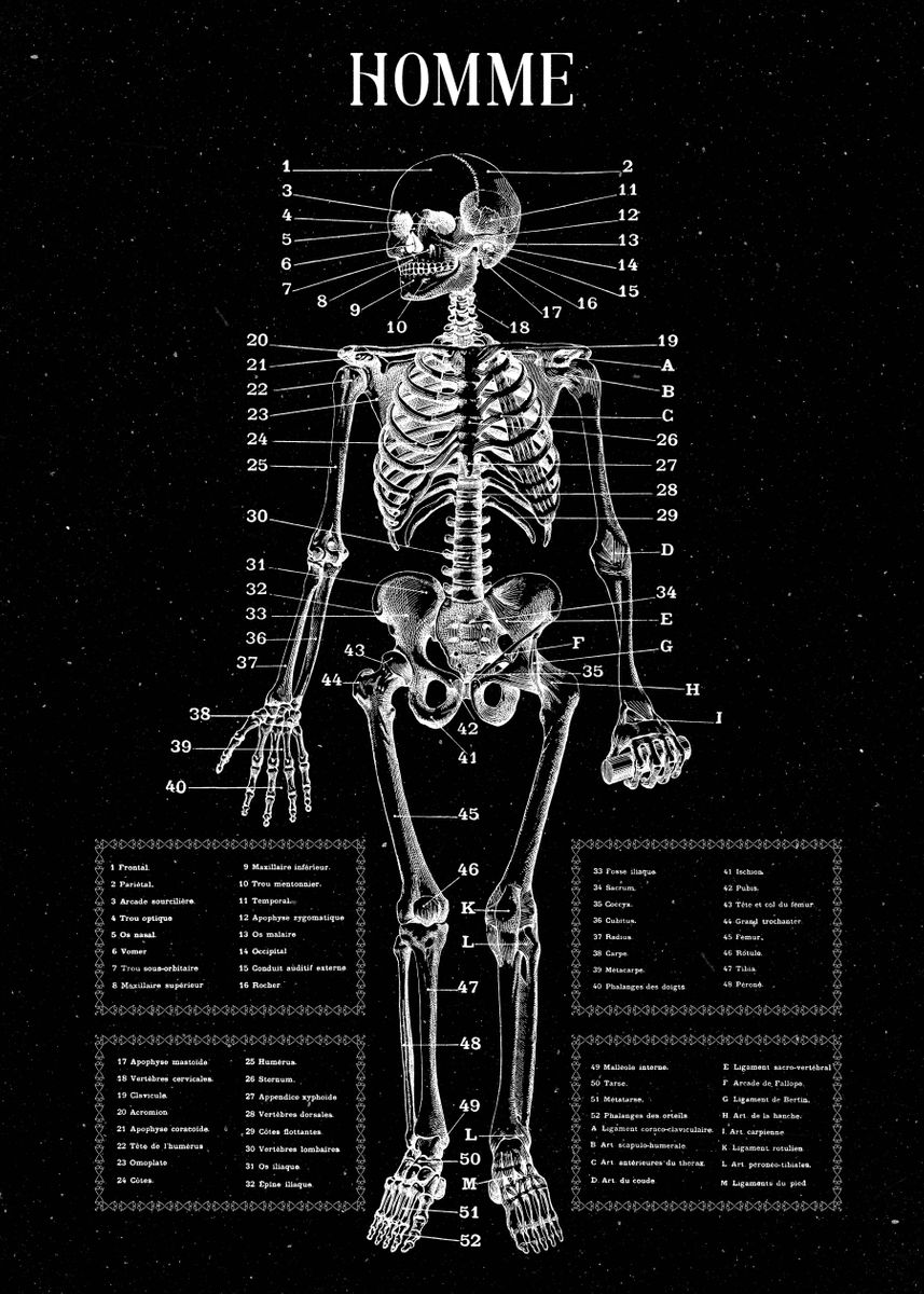 'medicine anatomy nurse' Poster, picture, metal print, paint by ...