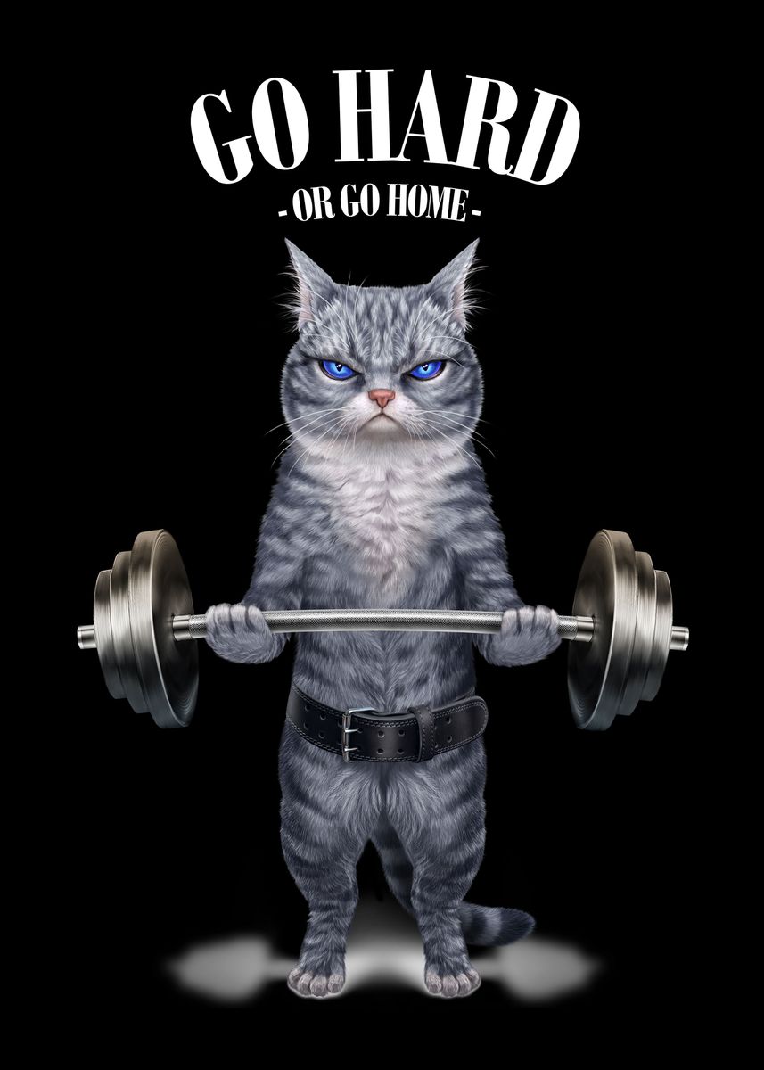 'Grey Cat Weightlifting' Poster, picture, metal print, paint by Jeff ...