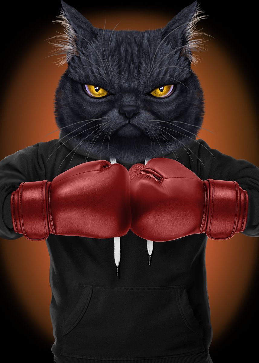 'Boxer Black Cat' Poster by Fox Republic | Displate