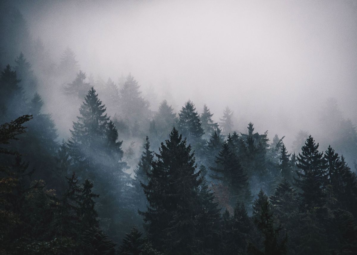 'Rising Fog' Poster by Conceptual Photography | Displate