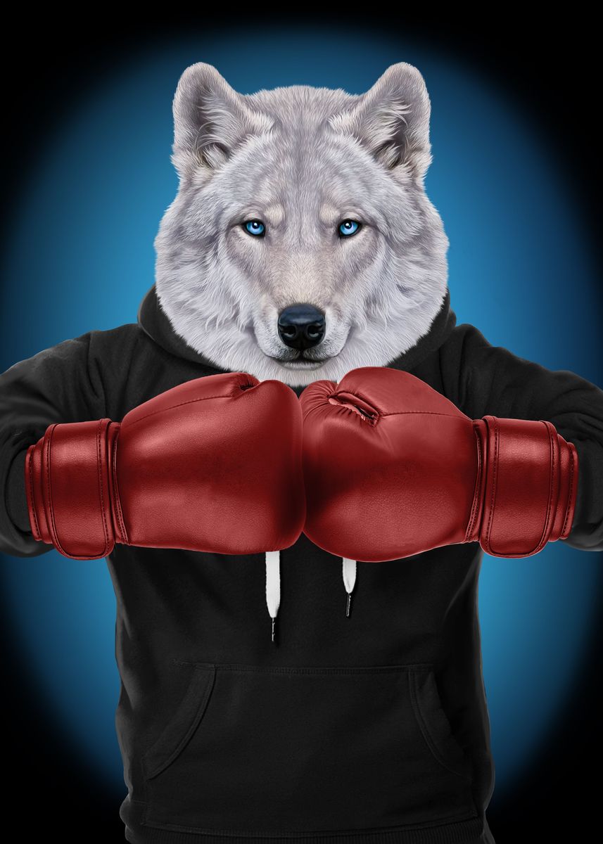 'Boxer Polar Wolf' Poster by Fox Republic | Displate