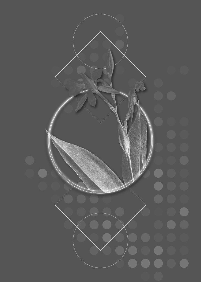 'Gray Geometric Lily Flower' Poster, picture, metal print, paint by ...
