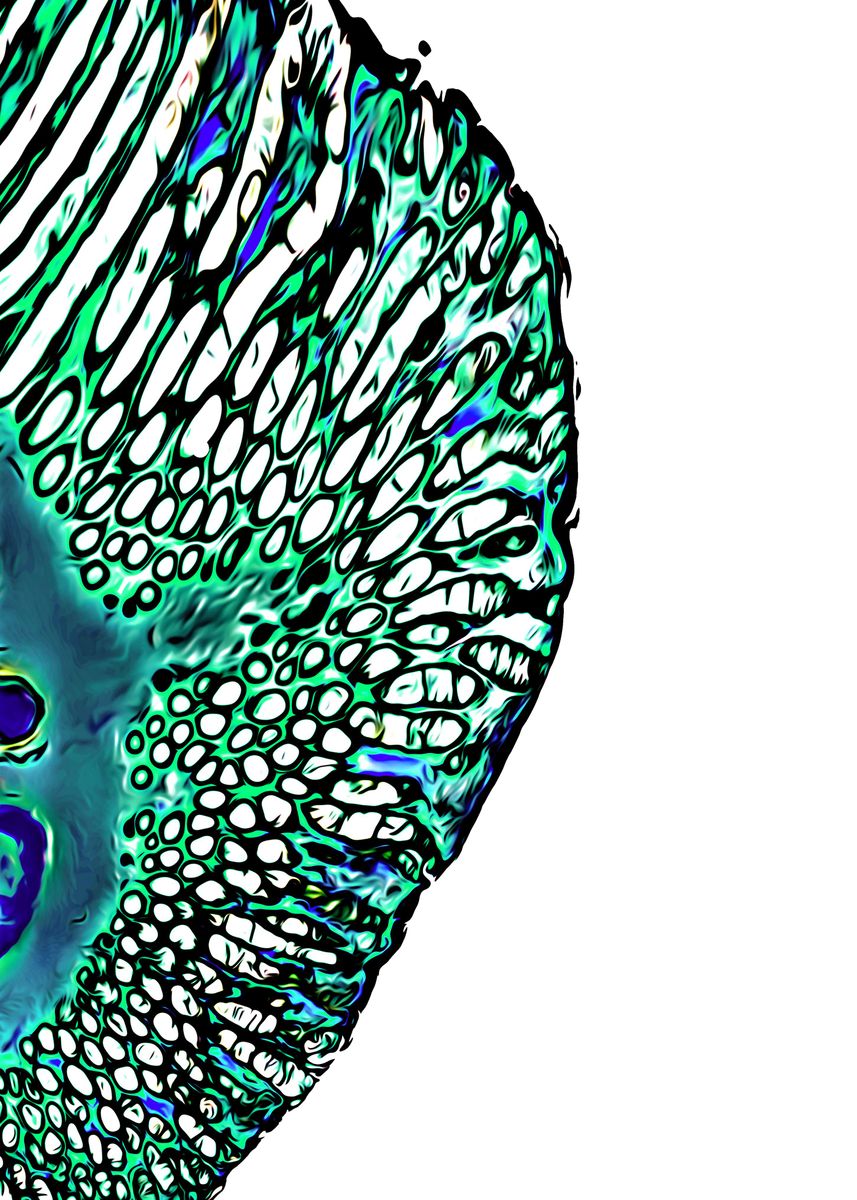 'Human Tissue' Poster, picture, metal print, paint by Monasta | Displate