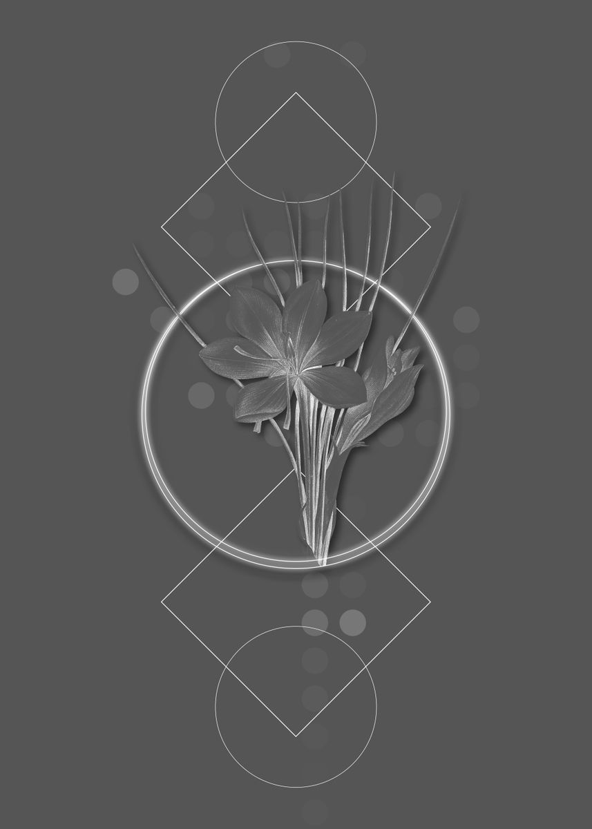 'Gray Geometric Crocus' Poster, picture, metal print, paint by Holy ...