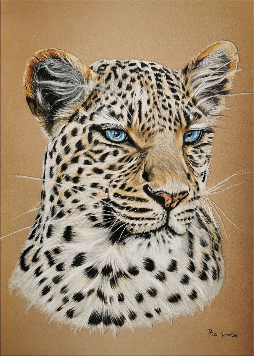 'Blue eyed Leopard' Poster by Ria Gnodde | Displate