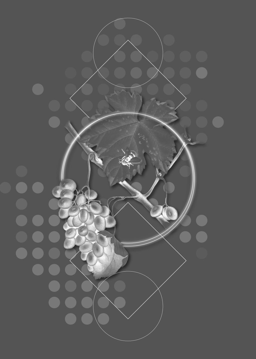 'Gray Geometric Grape Fruit' Poster, picture, metal print, paint by ...