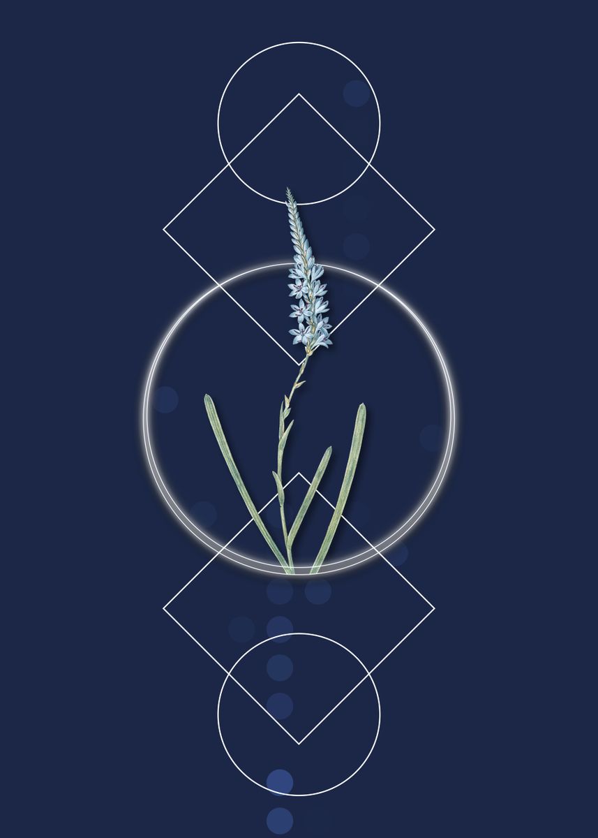 'Geometric Ixia Cepacea' Poster by Holy Rock Design | Displate