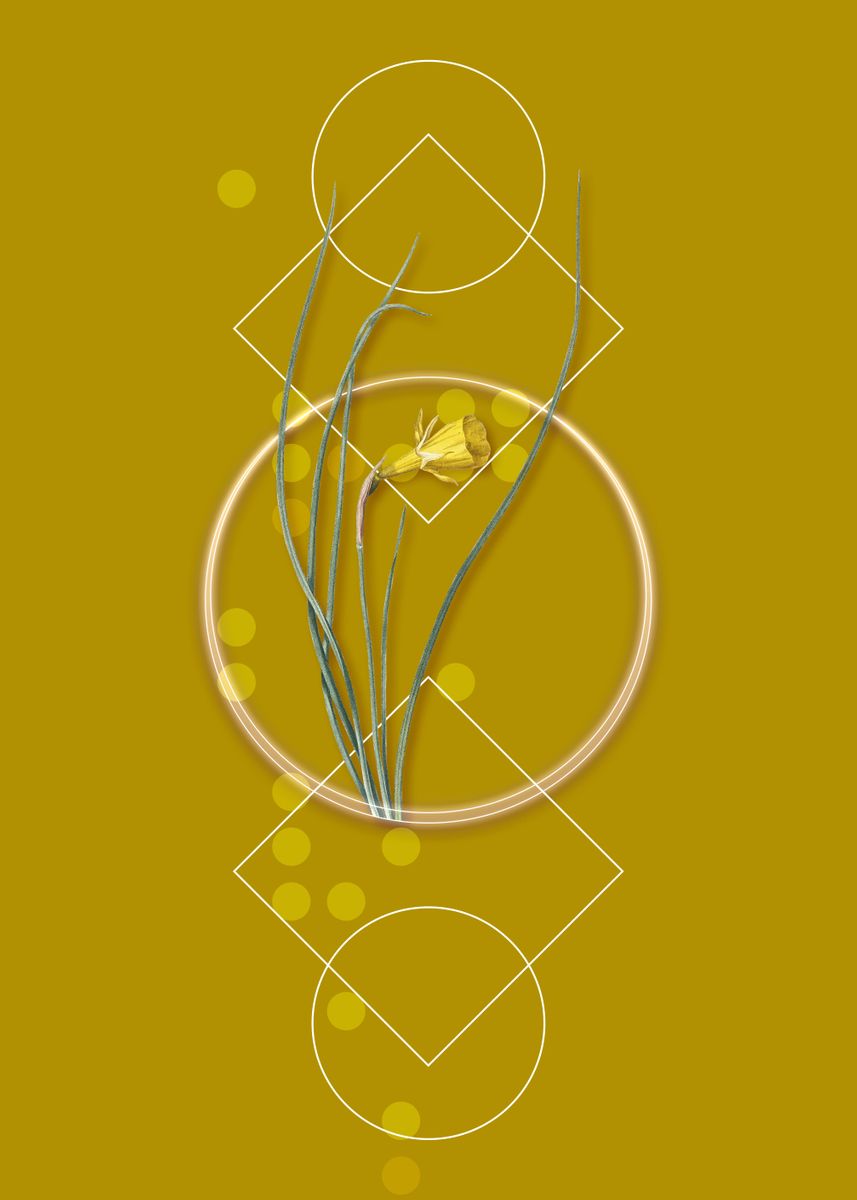 'Geometric Daffodil Flower' Poster by Holy Rock Design | Displate