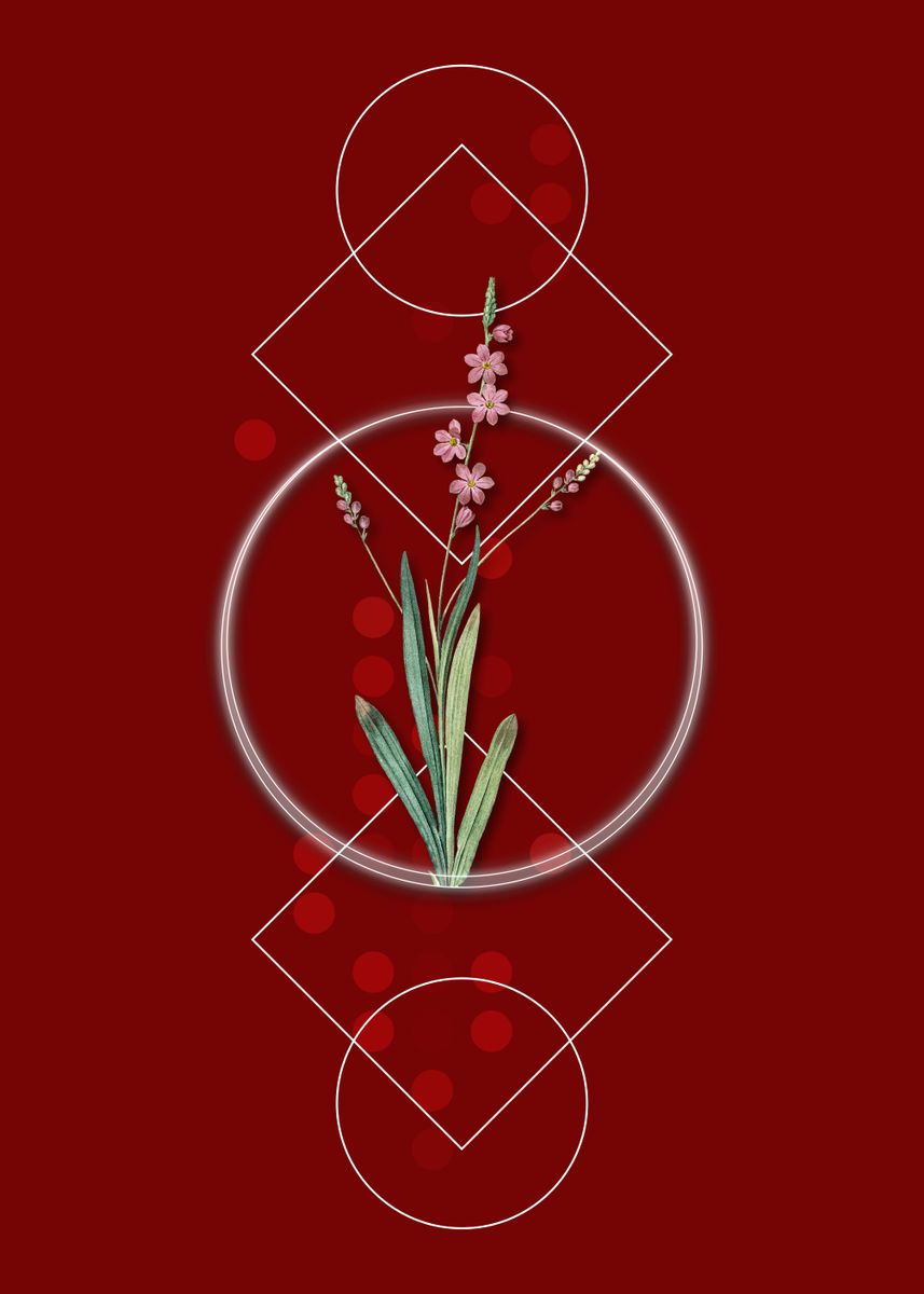 'Geometric Ixia Scillaris' Poster, picture, metal print, paint by Holy ...