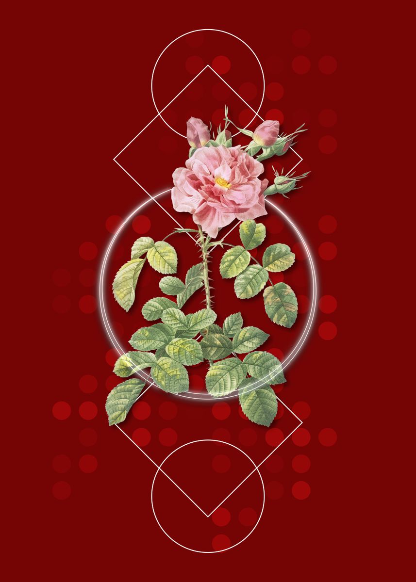 'Vintage Four Seasons Rose' Poster, picture, metal print, paint by Holy ...