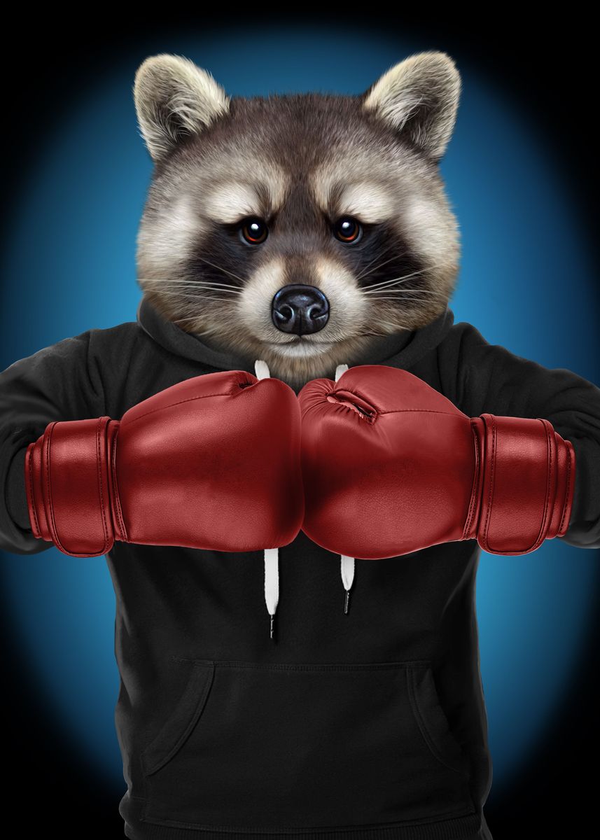 'Boxer Raccoon' Poster, picture, metal print, paint by Jeff | Displate