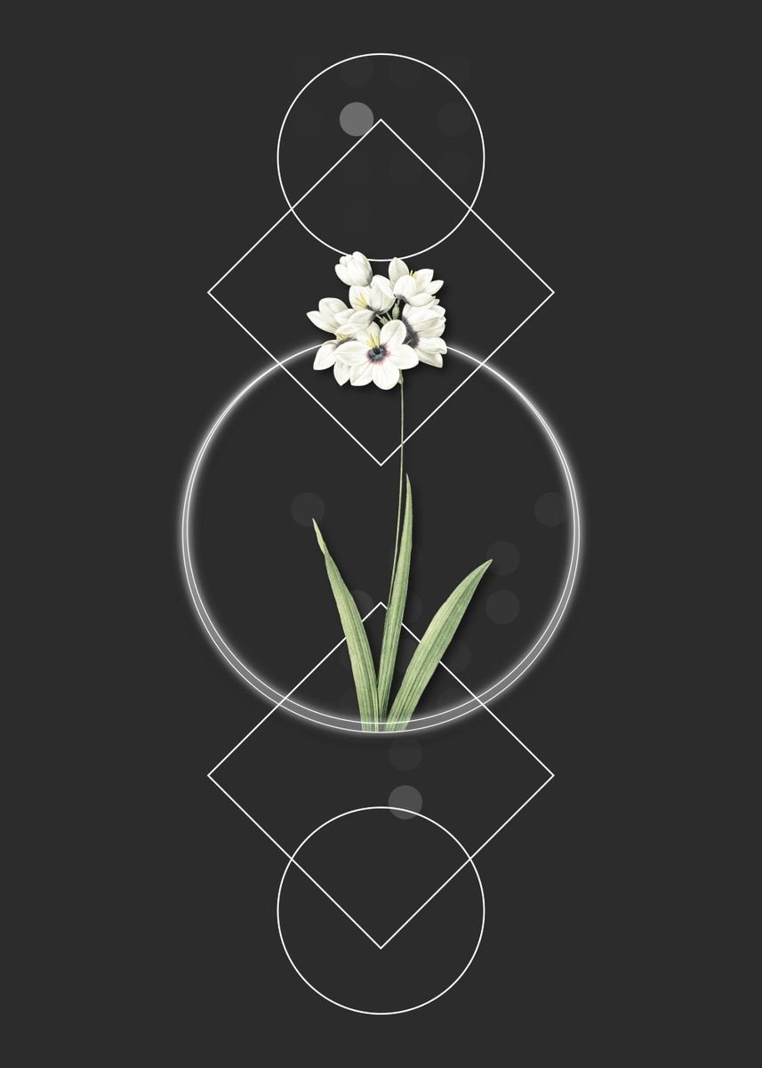 'Geometric Ixia Maculata' Poster, picture, metal print, paint by Holy ...