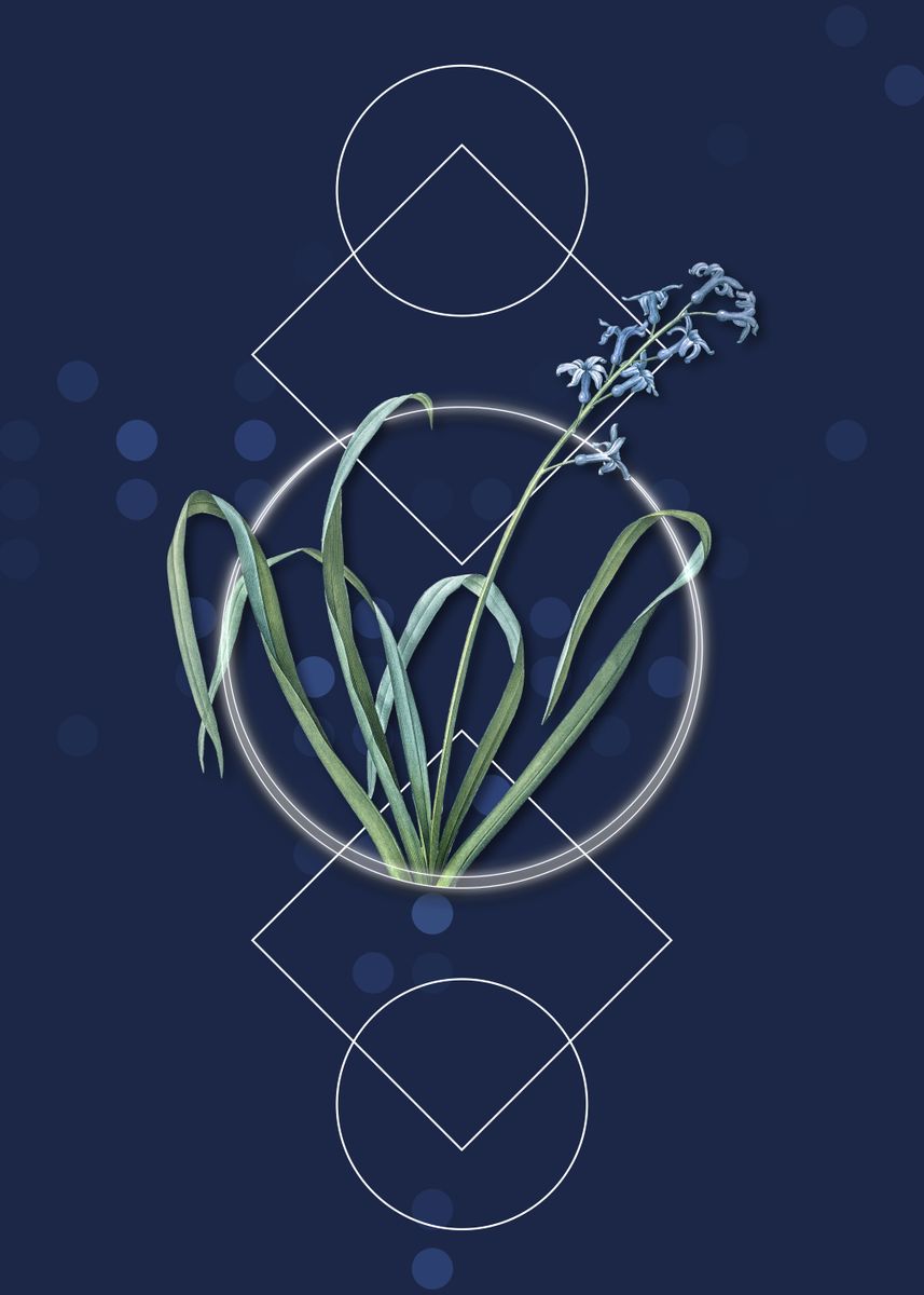 'Geometric Dutch Hyacinth' Poster, picture, metal print, paint by Holy ...