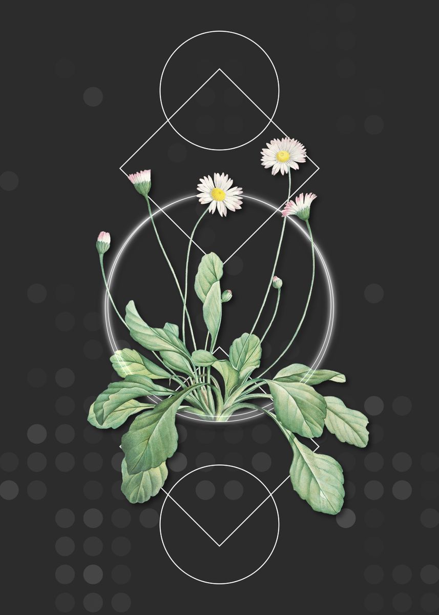 'Geometric Daisy Flowers' Poster by Holy Rock Design | Displate
